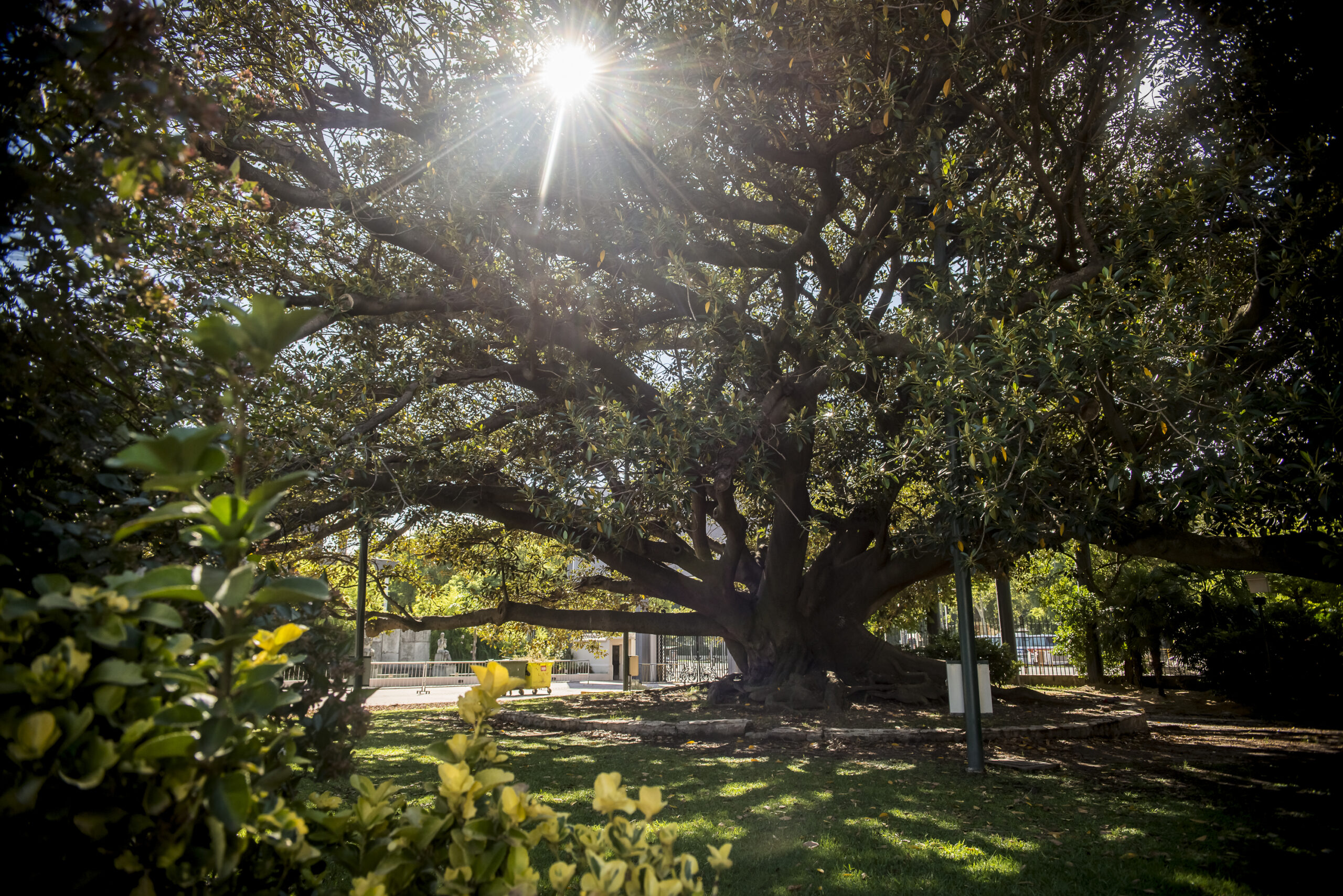 #VeranoEnLaRural: cuatro propuestas imperdibles para toda la familia ...